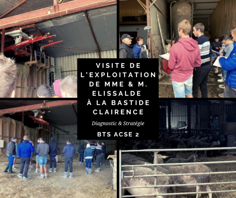 Diagnostics d’exploitation et stratégie BTS ACSE 2 - Lycée Jean ERRECART